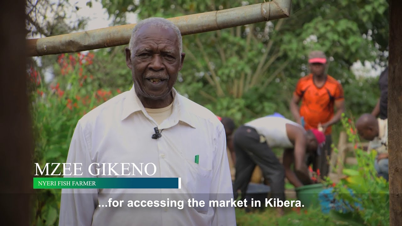 Feeding Cities - the case of Kibera, Kenya - YouTube