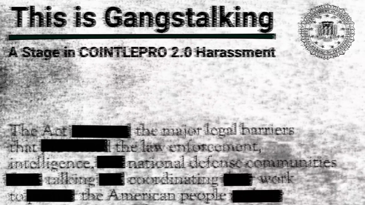 Example of Gangstalking // COINTELPRO 2.0 - YouTube