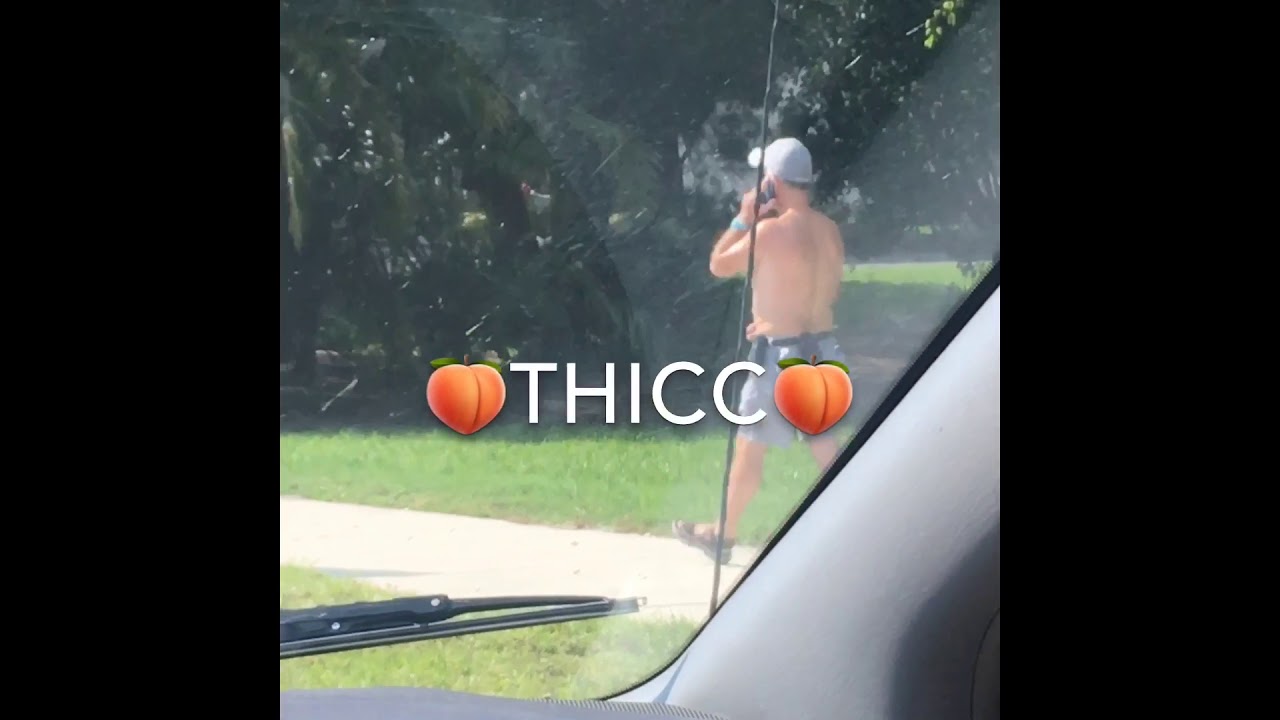 my March break Florida trip 2019 💙 - YouTube