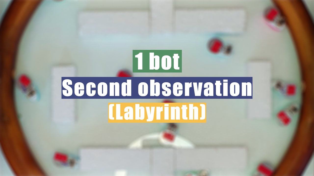 1 bot (Labyrinth) Second observation - YouTube