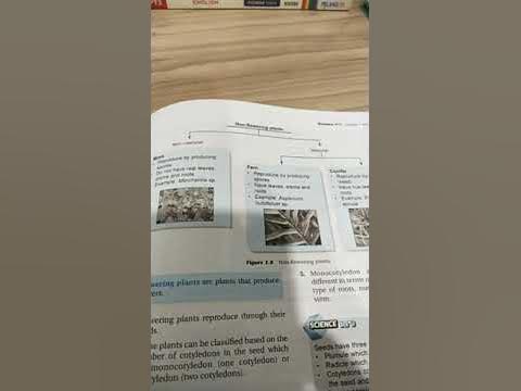 Form 2 Science Chapter 1 part 5 - YouTube