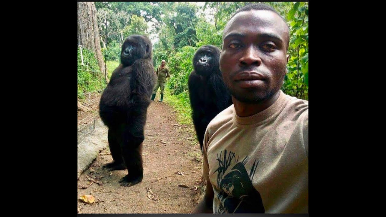 Brain Seminar 4 - Human Culture: Primate Foundations V4.1 - YouTube