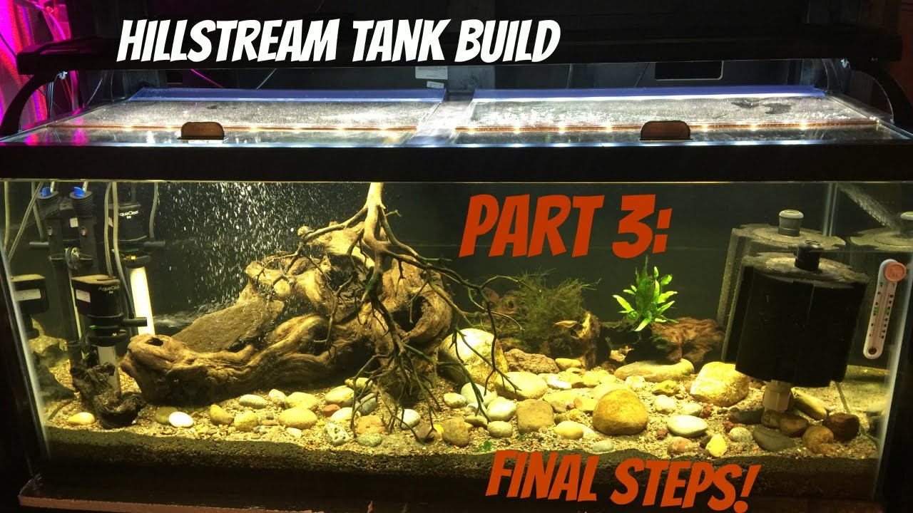 Hillstream Tank Build - Part 3: Final Steps! - YouTube