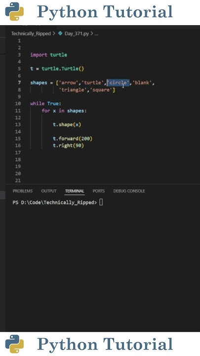 How To Change Turtle Shape In Python | Python Tutorial - YouTube