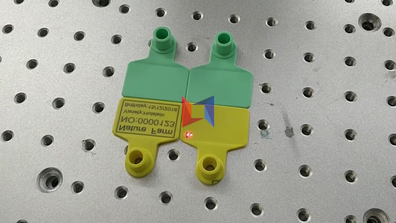 [LXSHOW Laser] Animal ear tag square 20w laser speed 500 power 30 fill ...