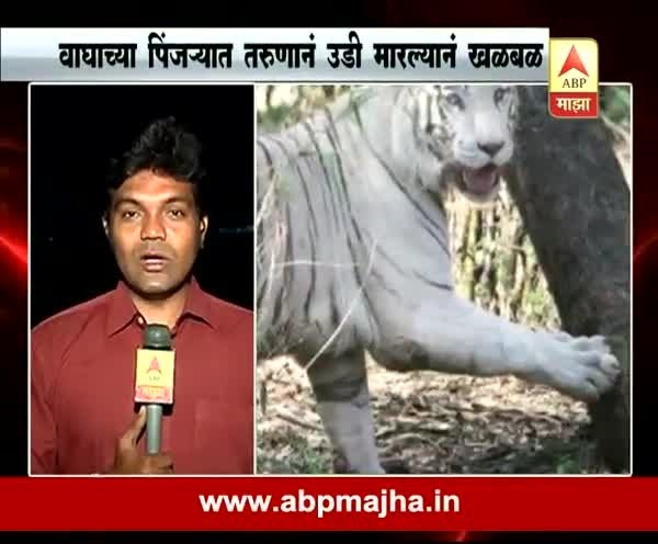 Pune, kartaj : Man jumps into White Tiger's cage for a handshake - YouTube