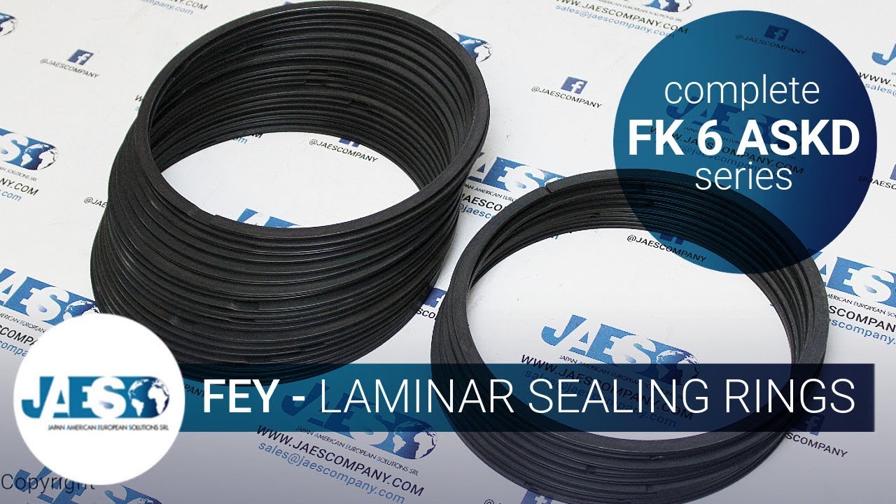 FEY - Laminar sealing rings - Complete FK 6 ASKD series - YouTube