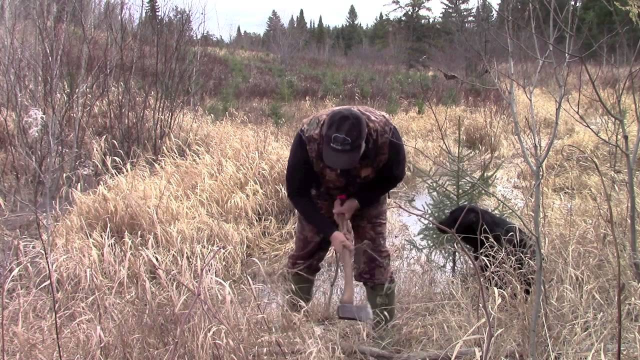 Beavers 1 Trappers 0 Part 1 - YouTube