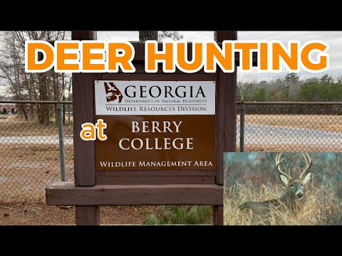 Berry College WMA Deer Hunt - YouTube