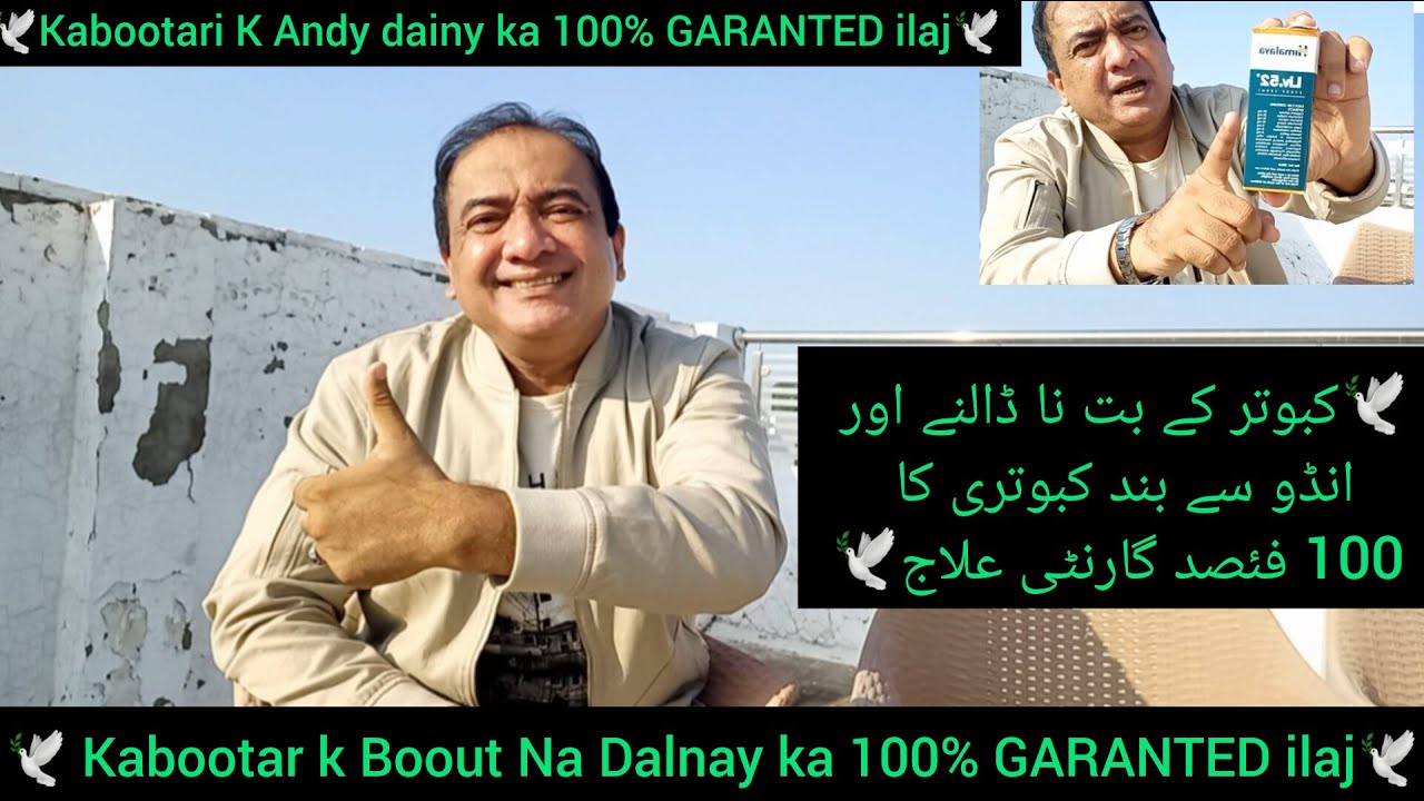 Kabootar k Boot Na Dalnay ka ilaj | kabootari k Andy Na dainy Ka ilaj ...