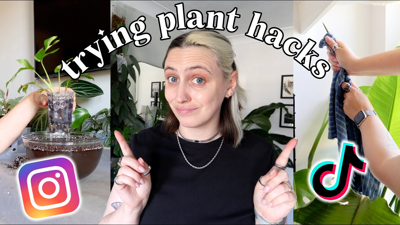 do these plant hacks really work?? - YouTube