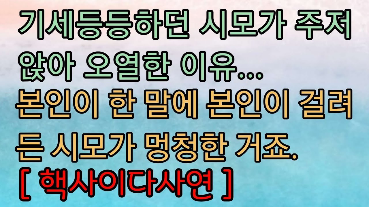 사이다사연 친정은 가족이 아니라길래 시댁을 버렸어요 사이다썰 미즈넷사연 응징사연 반전사연 참교육사연 라디오사연 핵사이다사연
