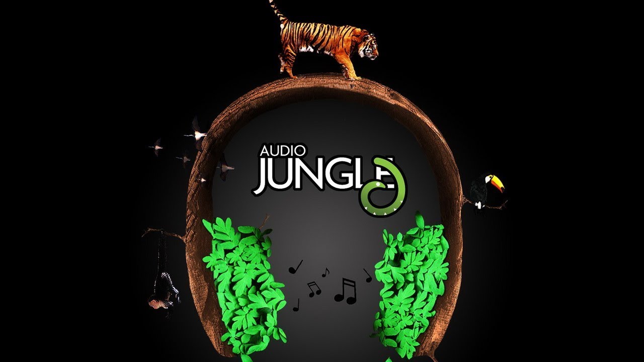 Sound - Digital Roulette Wheel Spinning | AudioJungle Download - YouTube