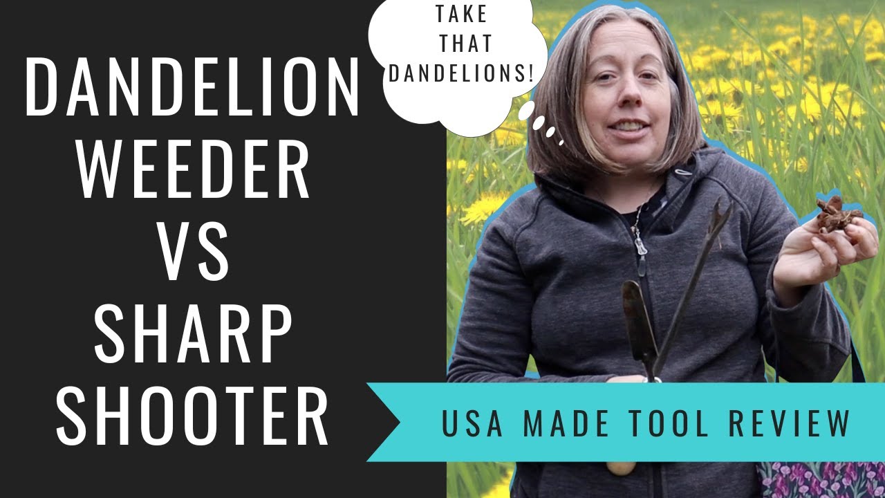 Testing a New Weeding Tool - Dandelion Puller - YouTube