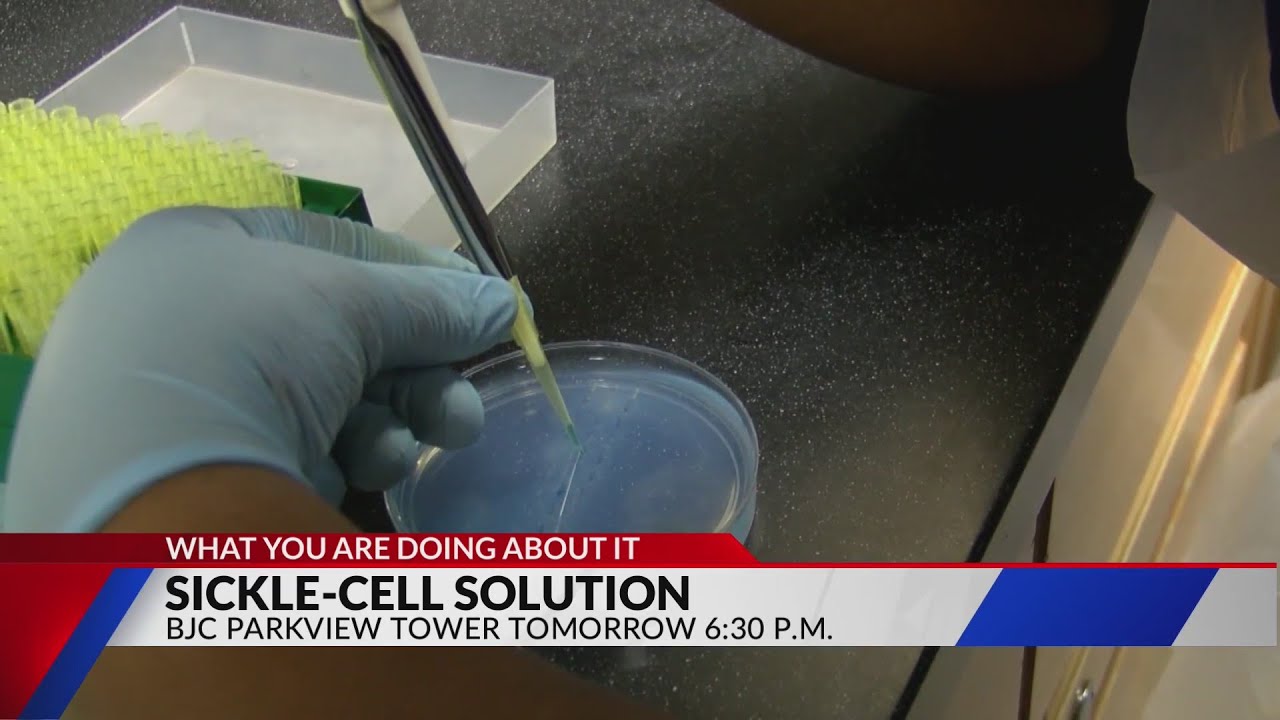 What You Are Doing About It? Keyway Game Night, Sickle Cell Solution ...