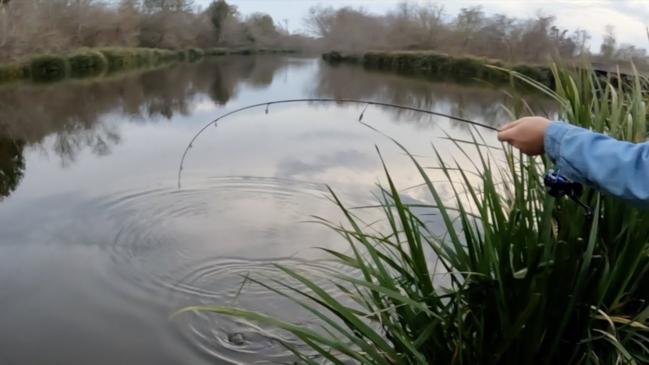 Chill Fishing NYD - YouTube