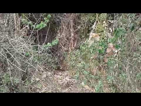 Qhov tsua tooj dub nawb muab tau khoom lawm - YouTube