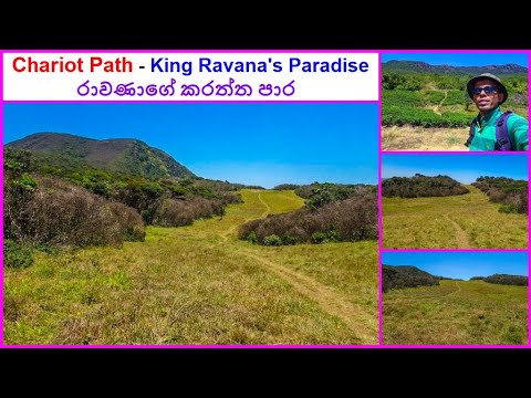 Chariot Path - King Ravana's Paradise | රාවණාගේ කරත්ත පාර (2019) - YouTube