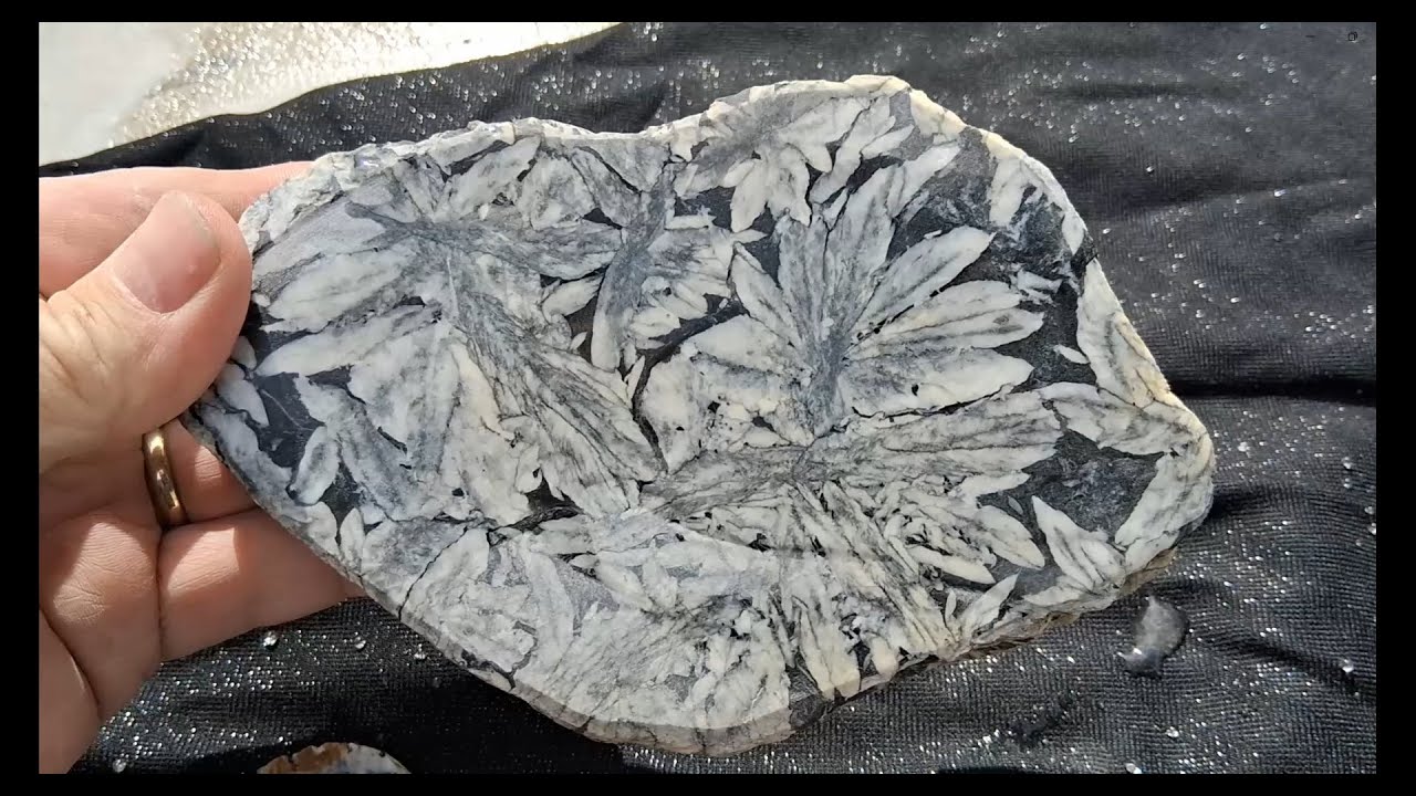 Working and polishing some Canadian pinolite AKA pinolith gem material ...