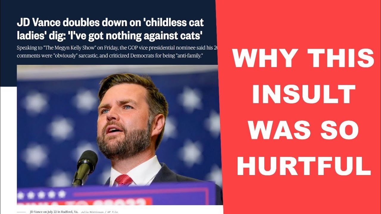 Childless Cat Lady Insult Caused Much Outrage - YouTube