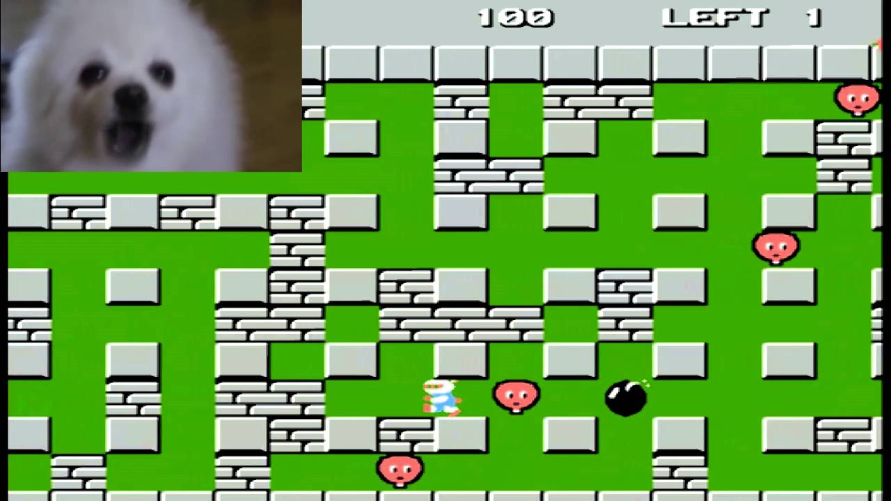 Bomberman - Gabe the dog (remix) - YouTube