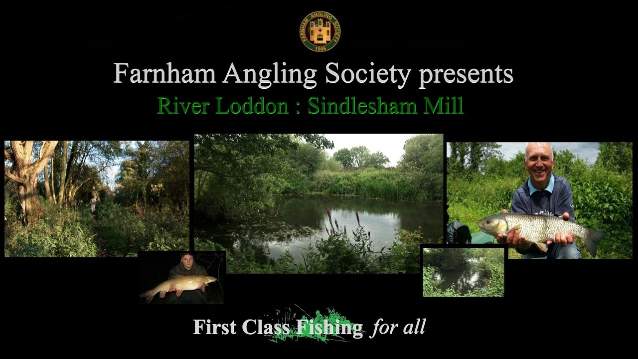 Farnham Angling Society River Loddon Sindlesham Mill - YouTube