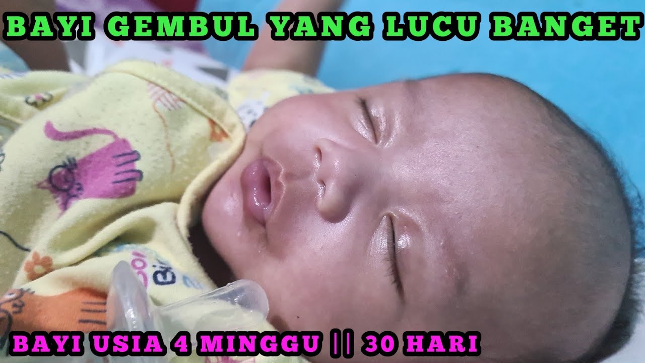 Bayi Gembul Yang Lucu Banget _Bayi Usia 4 Minggu || 1 Bulan - YouTube
