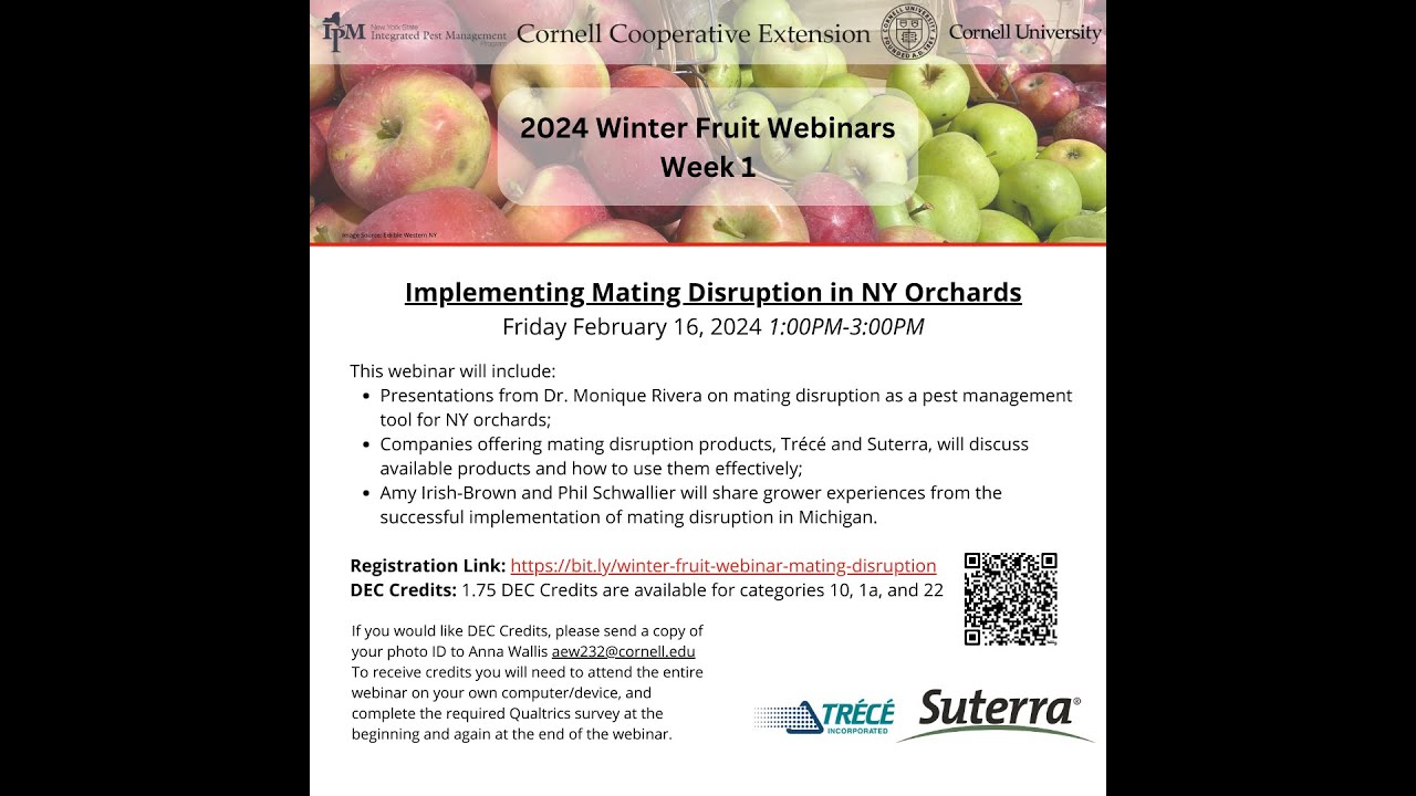 Implementing Mating Disruption in NY Orchards - YouTube