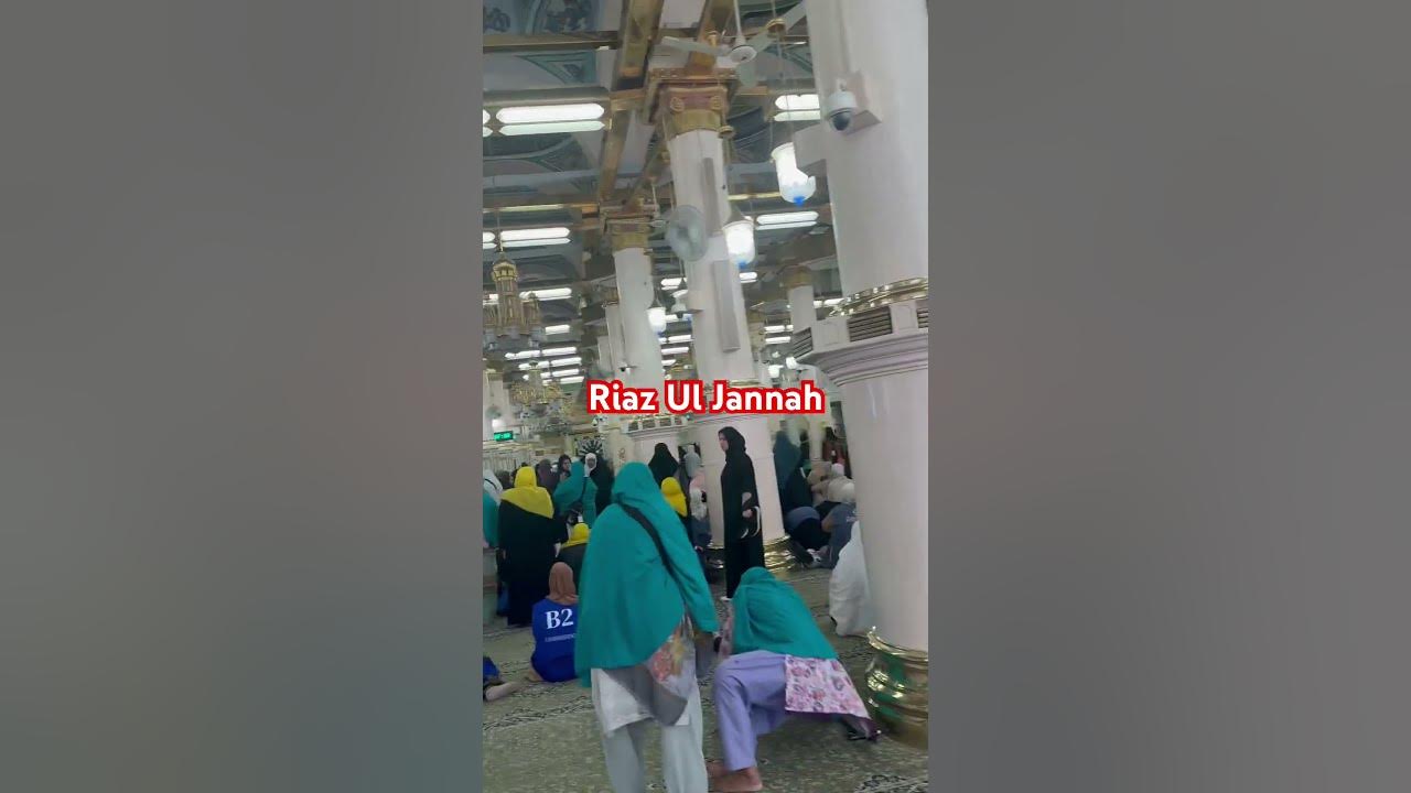 #ytshorts #youtubeshorts #madina #madinasharif - YouTube