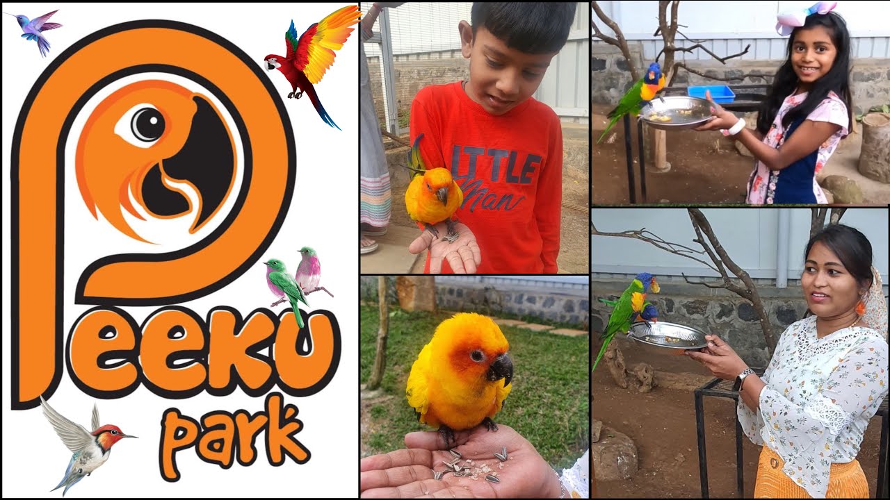 Peeku park yercaud | Birds Sanctuary | Summer Trip | Yearcaud Vlog ...