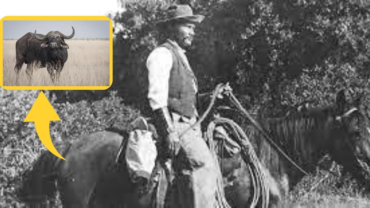 The Forgotten Historic Discovery of a Cowboy | A Tale of Injustice and ...