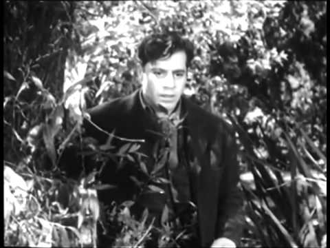 Swamp Woman (1941) ADVENTURE-DRAMA