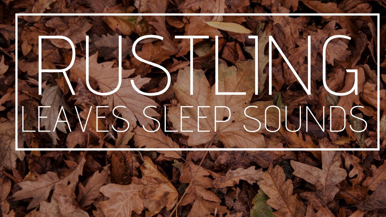 Rustling Leaves Sounds For Sleep Relaxing Sleep Sounds YouTube Rustling Leaves Sounds For Sleep Relaxing Sleep Sounds YouTube