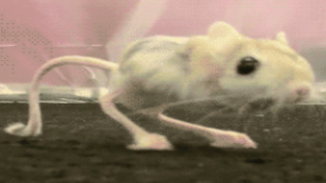 BURSSTY NEWS 25 - YouTube