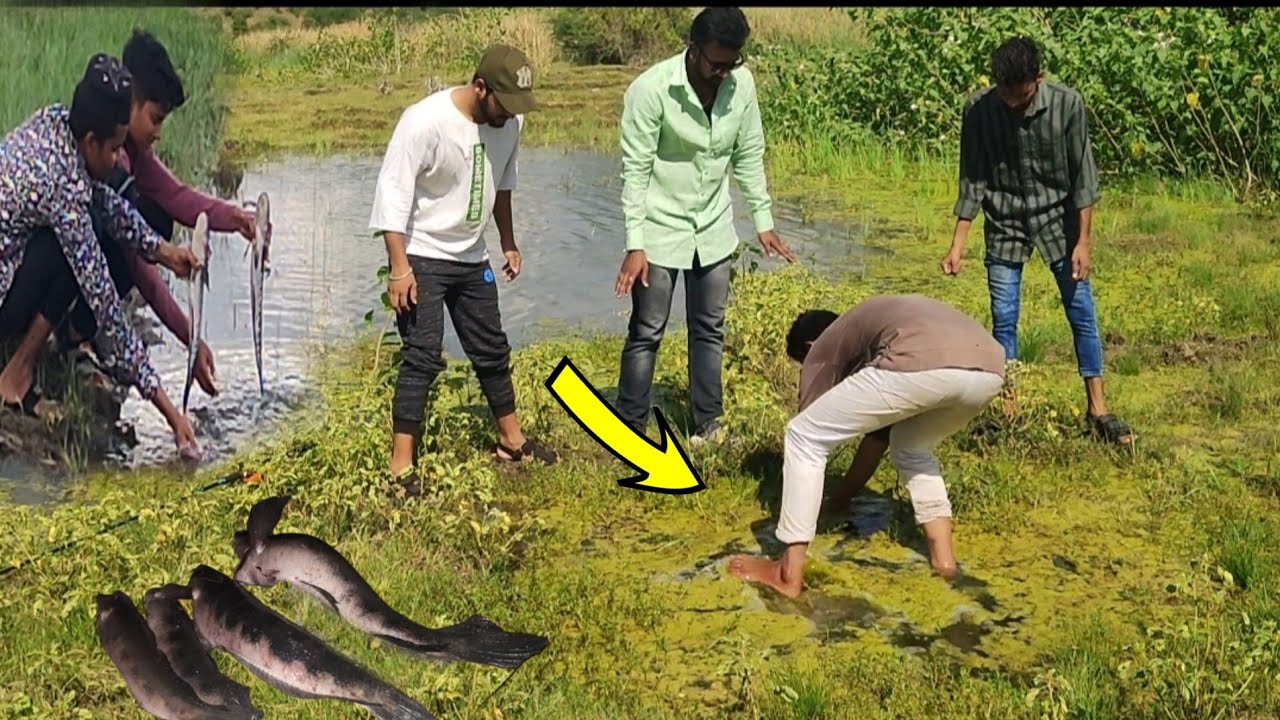 live attack giant snakehead fishing & cooking ALTAF FISHING in India 🇮🇳🇮🇳 - YouTube