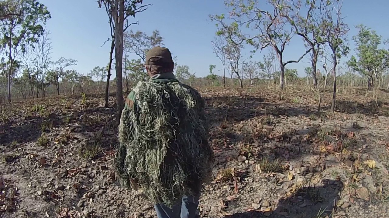 hunting wild cattle Nortern Territory Australia - YouTube