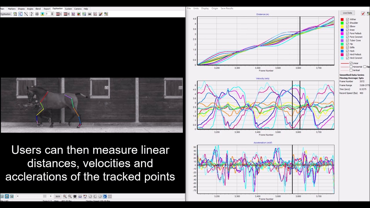 Quintic Intelligent Digitisation for Equine Analysis - YouTube