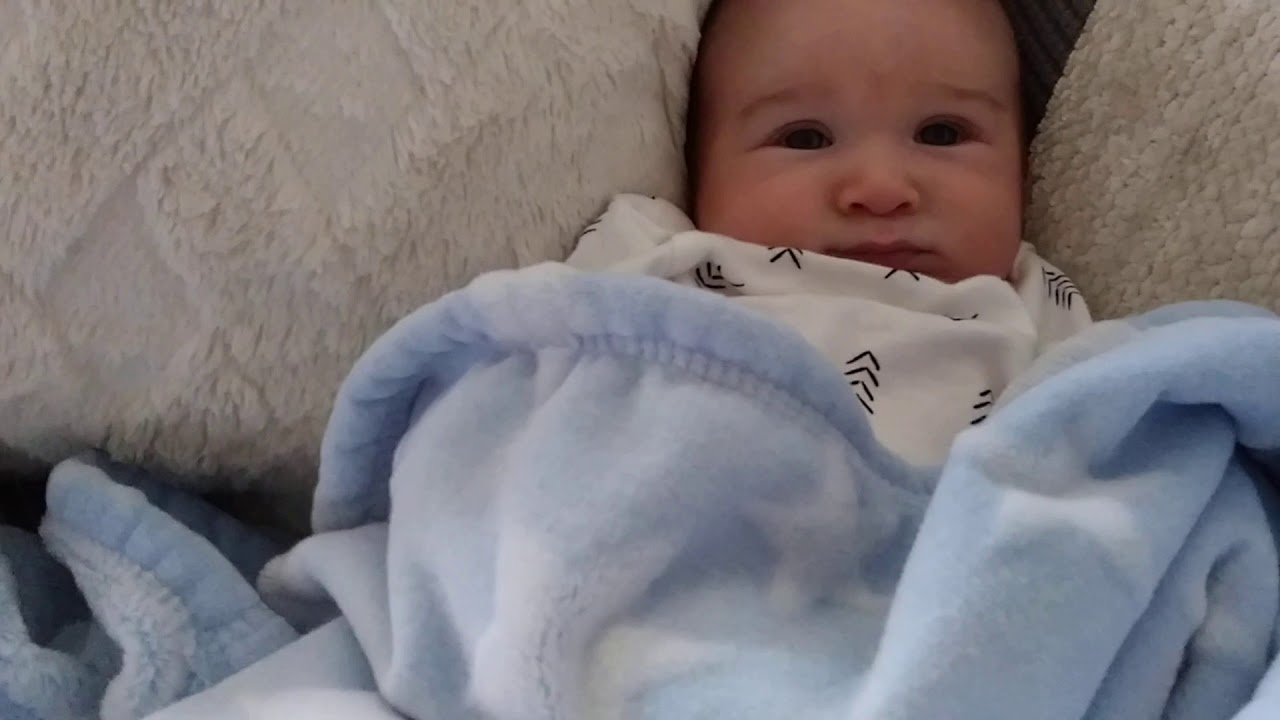 Morning naps 🖤 - YouTube