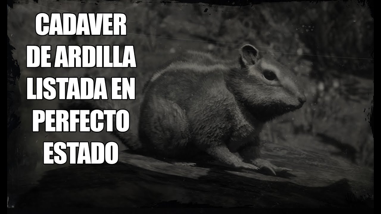 Red Dead Redemption 2 – ¿Cómo conseguir un cadáver de ardilla listada ...