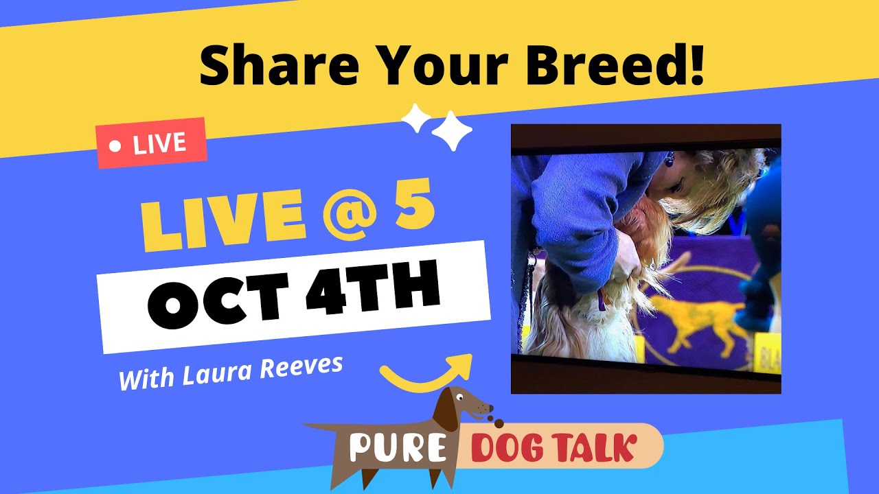 Pure Dog Talk Live @ 5 Breed Share - YouTube