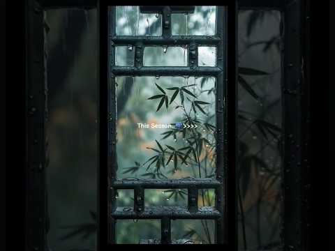 Barish Rain WhatsApp Status🌿🌧️ #rain #weather #love