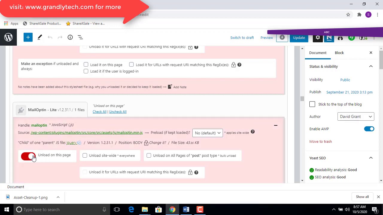 How to Use the Asset CleanUp Plugin to Achieve Page speed for your ...