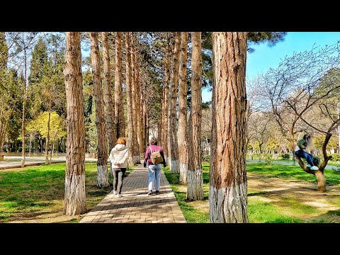 Bakı piyada turu - 4k - ELMLƏR  (Aprel 2021) Gəzinti - Walking tour - Баку Азербайджан Прогулка