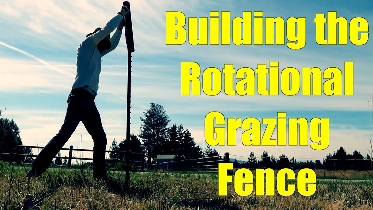 Building the Rotational Grazing Fence - YouTube