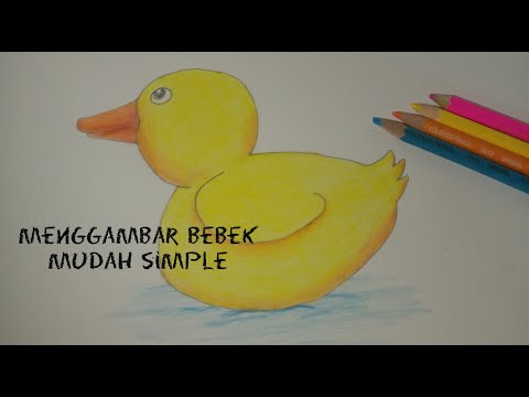 Menggambar bebek dengan mudah||belajar menggambar unggas untuk anak SD