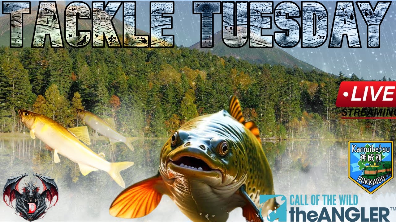 Tackle Tuesday - Season 4 Week 2 - Can we catch a Sweetest fish dime ...