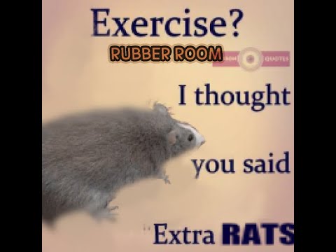 RUBBER ROOM ⁂ | Now w/ Extra Rats !! - YouTube