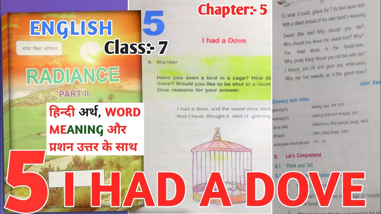 English class 7 chapter 5 bihar board |I HAD A DOVE|poem with word, questions answer, hindi ...