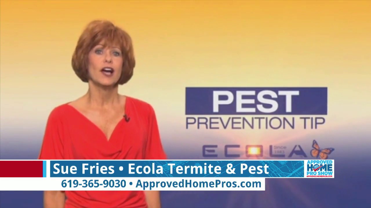 Quick Tip from Ecola Termite & Pest Control 12.16.16 - YouTube