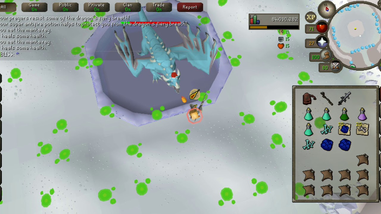 Vorkath Melee setup (OSRS mobile) - YouTube